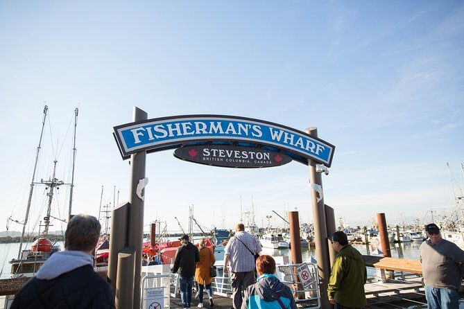 Whale-Watching Tour from Vancouver - Summary of the Experience