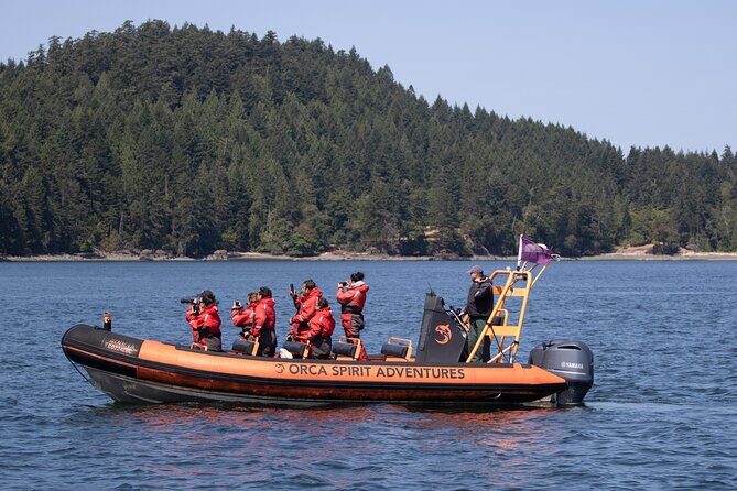 Whale Watching Tour in a Zodiac Boat in Victoria - Final Thoughts