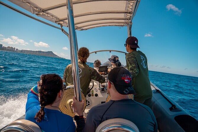 Whale Watching Tour in Waikiki Intimate Adventure on Oahu - What to Expect from the Whale Watching Experience