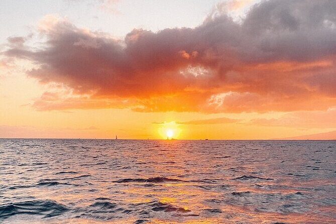 Whale Watching Tour in Waikiki Intimate Adventure on Oahu - Price and Value Analysis