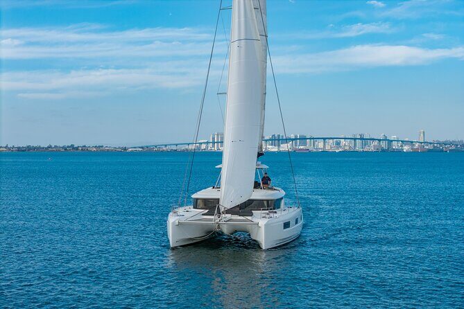 Whale Watching Tour on a Catamaran in San Diego - A Closer Look at the Experience