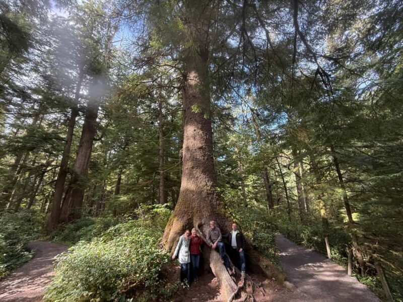 Whale Watching Tour to Depoe Bay, Cannon Beach & Tillamook - Key Points