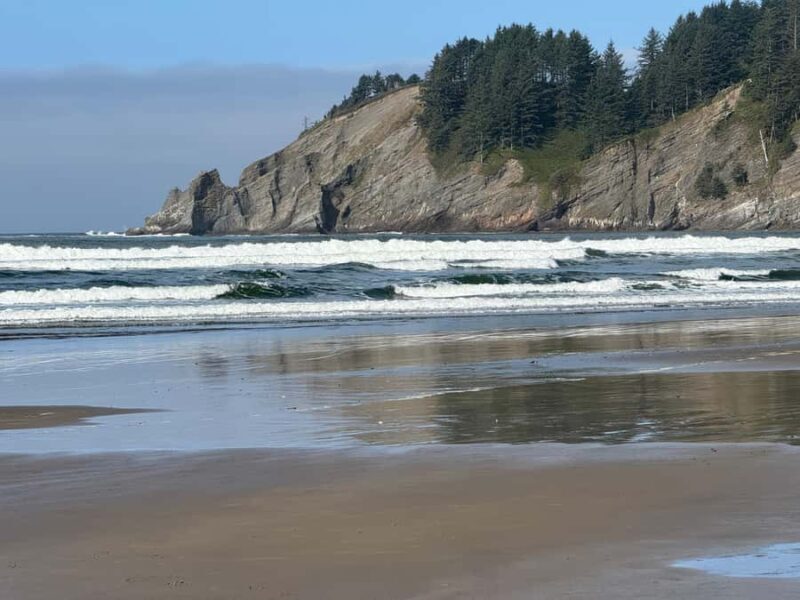 Whale Watching Tour to Depoe Bay, Cannon Beach & Tillamook - Final Reflection: Is This Tour Worth It?