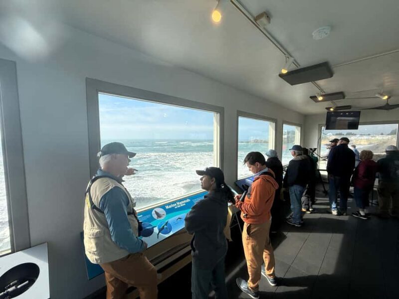 Whale Watching Tour to Depoe Bay, Cannon Beach & Tillamook - FAQ
