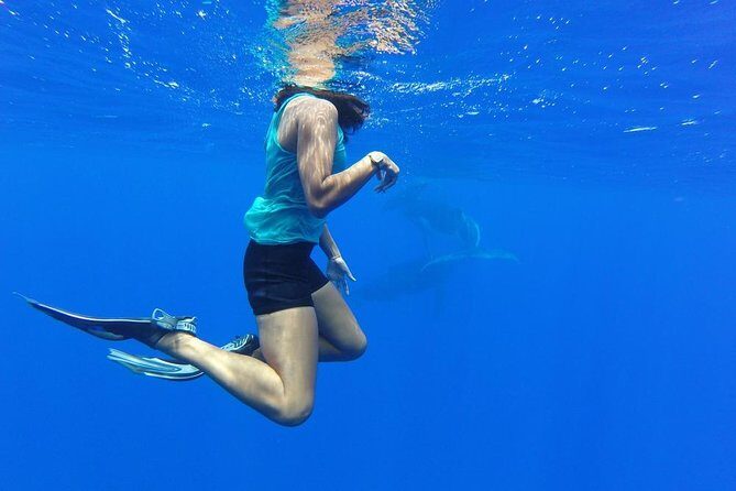 Whale Watching Tours in Bora Bora - Introduction: Is This Tour Right for You?