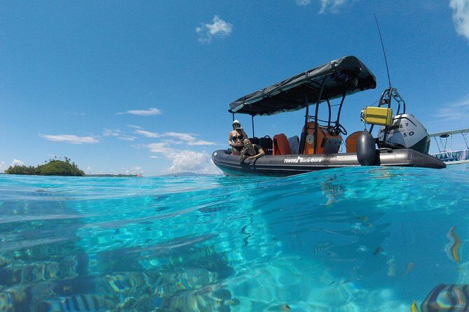 Whale Watching Tours in Bora Bora - Who Should Consider This Tour?