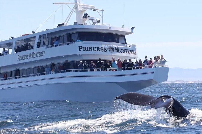Whale Watching Winter - Key Points