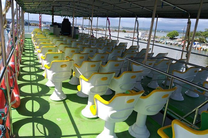 Whales & Dolphin Watching Day Tour including Handunugoda Teafactory - Authentic Experience and Overall Value