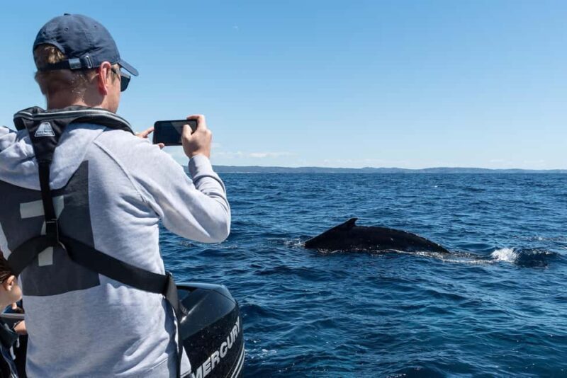 Whales of Sydney Sea Safari - Private - What Travelers Say