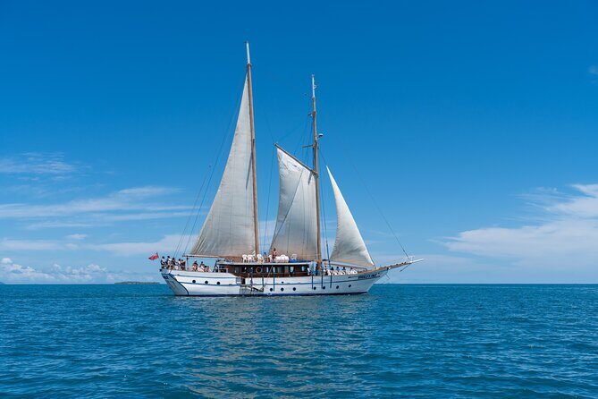Whale's Tale Day Cruise from Port Denarau - An Honest, In-Depth Look at the Whale’s Tale Day Cruise