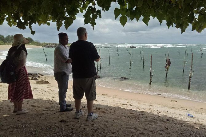 Whales Watching Mirissa Day Tour - FAQs
