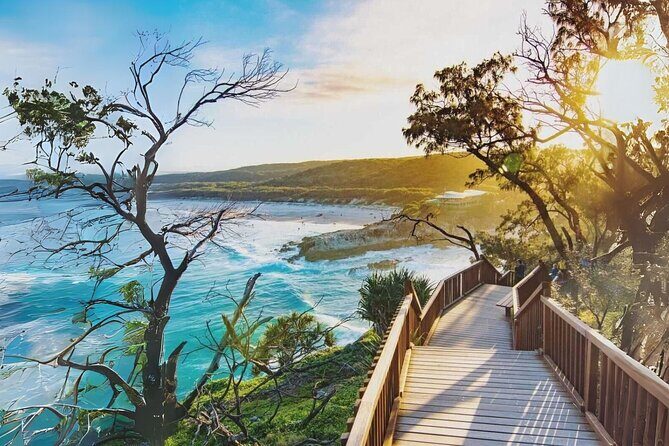Whales, Wildlife & Beach  Eco Day Trip to Stradbroke - An In-Depth Look at the Day Trip