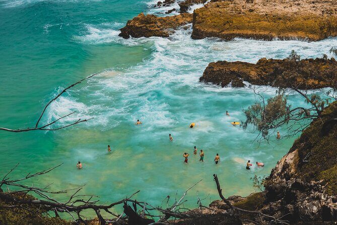 Whales, Wildlife & Beach  Eco Day Trip to Stradbroke - FAQ