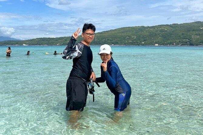 Whaleshark & Sumilon Is and Moalboal Sardines & Turtle Tour - Who is This Tour Best For?