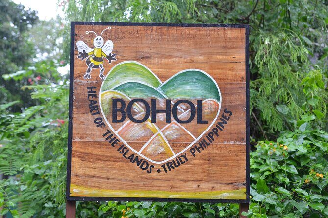 Whalesharks Interaction with Panglao Island Half Day Land Tour (Cebu or Bohol) - What Does the Experience Really Feel Like?