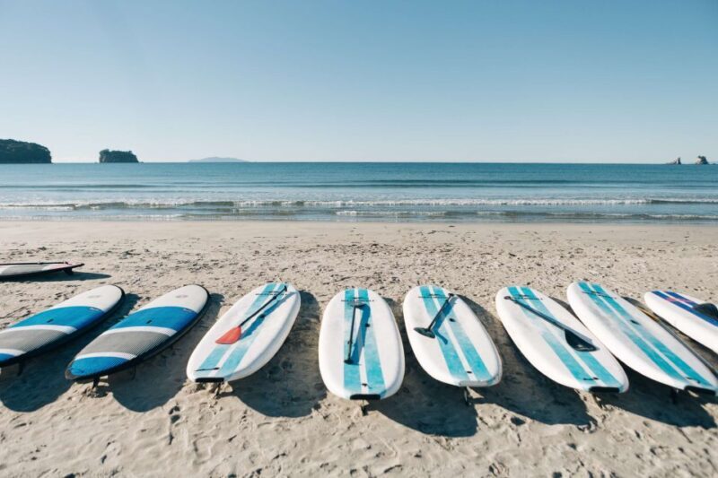 Whangamata: Donut Island Guided Kayaking Experience - The Experience of Kayaking and Wildlife