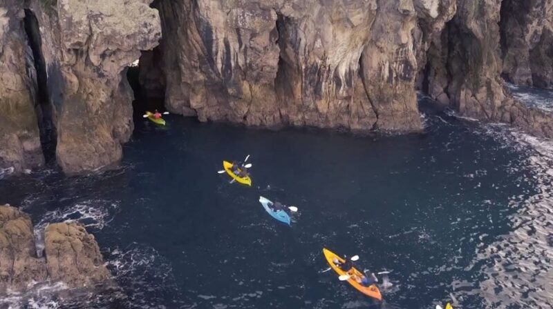Whangamata: Donut Island Guided Kayaking Experience - The Cost and Value of the Tour