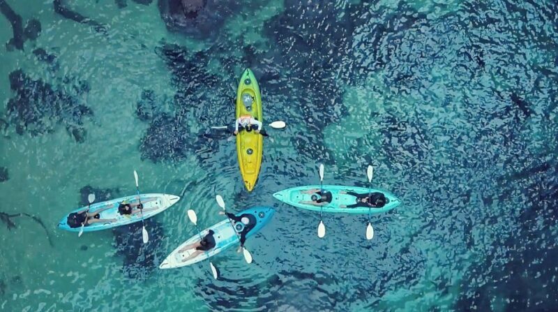 Whangamata: Donut Island Guided Kayaking Experience - Practical Tips for Your Kayaking Trip