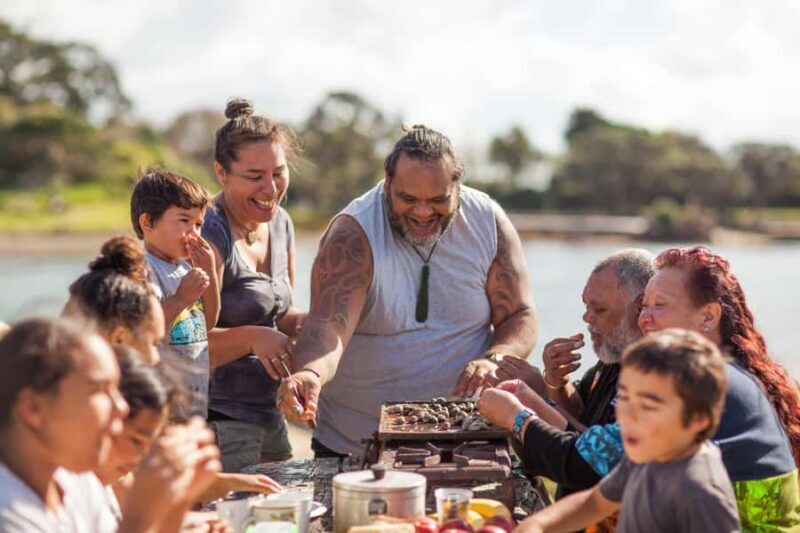 Whangrei: Private Mori Cultural Experience with Lunch - The Itinerary in Detail