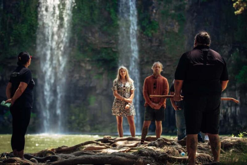 Whangrei: Private Mori Cultural Experience with Lunch - Who Will Love This Tour?