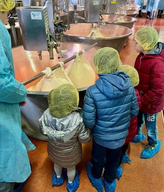 What a day: Parmesan, Balsamico , Lambrusco Taste&Tour+Lunch - Visiting the Parmigiano Reggiano Dairy — Caseificio Bio Reggiani