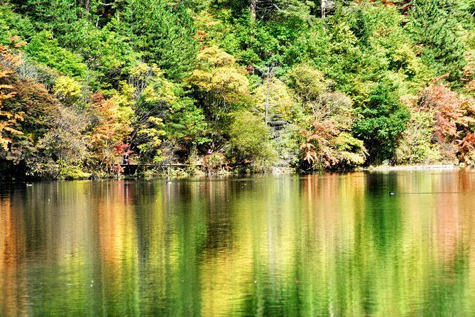 When Chinese Leaves Fall - Final Thoughts