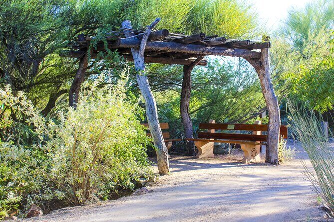 When Nature Calls - Exploring the Sonoran Desert - A Detailed Look at the Tour