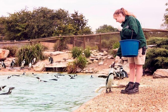 Whipsnade Zoo Entry Ticket - Key Points