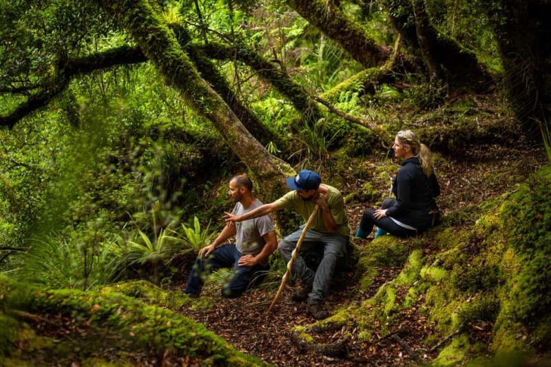 Whirinaki Forest Footsteps Guided Walking tour - FAQ