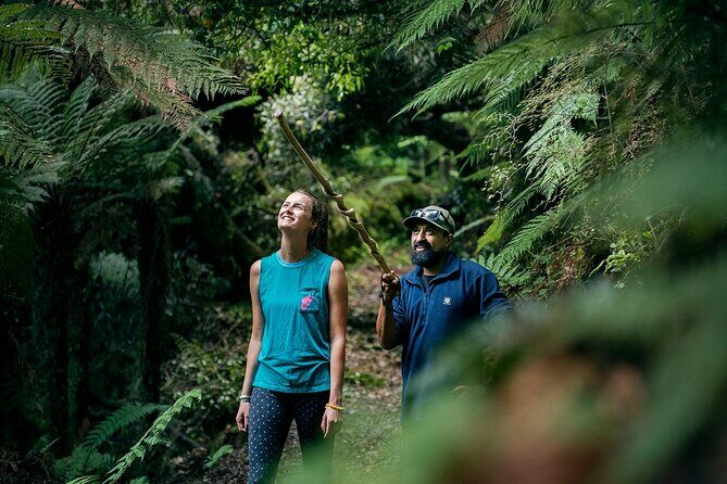 Whirinaki Forest Footsteps: Mori Guided Tour, Picnic & Transfer - Final Thoughts: Who Will Love This Tour?