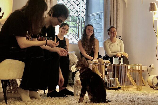 Whiskers & Coffee: Relax and Play with Adorable Cats - Key Points