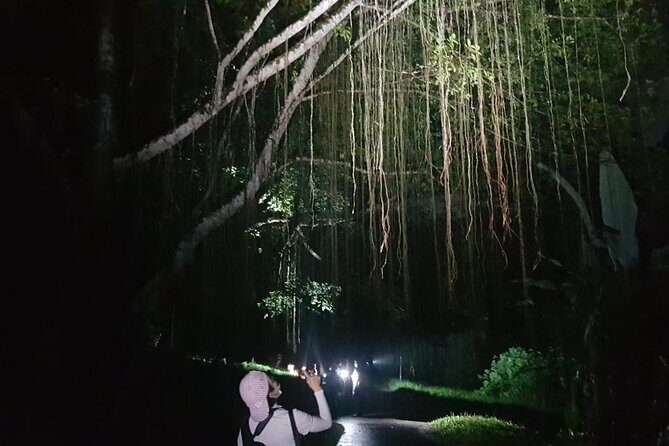 Whispers of the Cemetery Nature Walk - FAQ