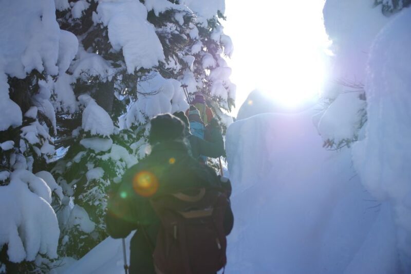 Whistler: Backcountry Snowshoeing Tour with Guide - Authentic and Memorable
