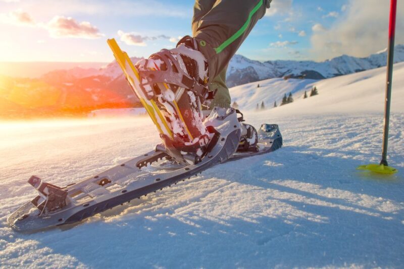 Whistler: Backcountry Snowshoeing Tour with Guide - The Sum Up
