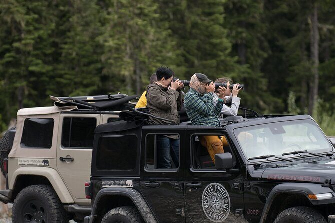 Whistler Bear Tour - An In-Depth Look at the Whistler Bear Tour