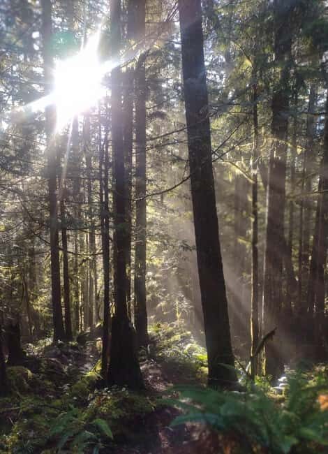 Whistler: Cheakamus Lake Guided Hike in Garibaldi Park - Key Points