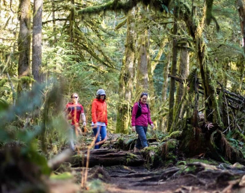 Whistler: Cheakamus Lake Guided Hike in Garibaldi Park - A Thoughtful Look at the Experience