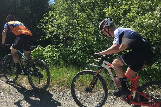 Whistler Full-Day Mountain Bike Tour - What the Tour Looks Like