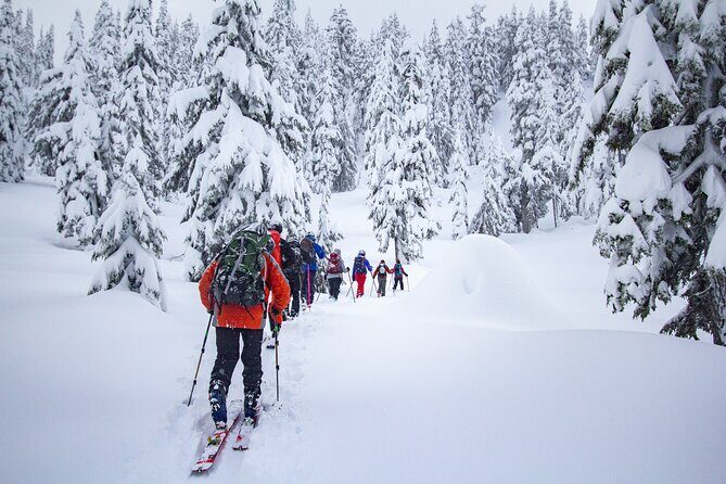 Whistler Intro to Backcountry Skiing and Splitboarding - Practical Details and Considerations