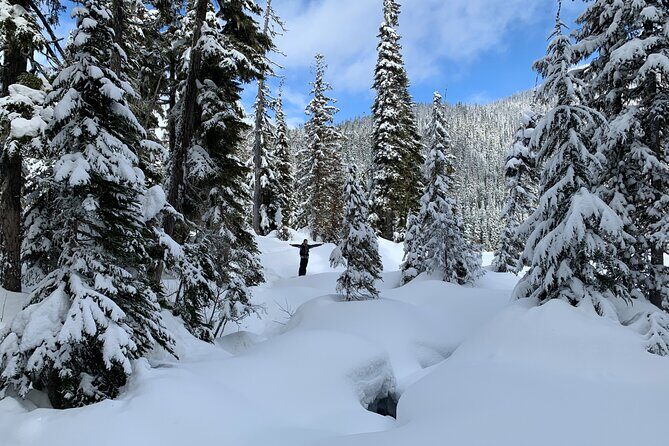 Whistler Lost Lake Snowshoeing and Village Tour - A Close Look at the Itinerary and What You Can Expect