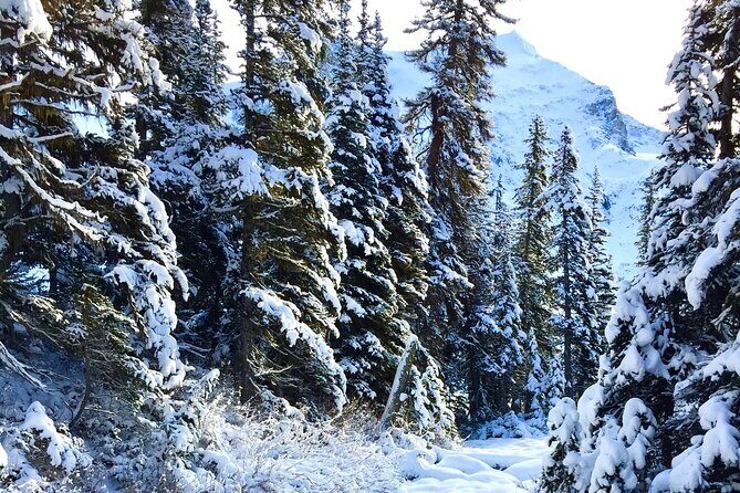 Whistler Lost Lake Snowshoeing and Village Tour - Who Should Consider This Tour?