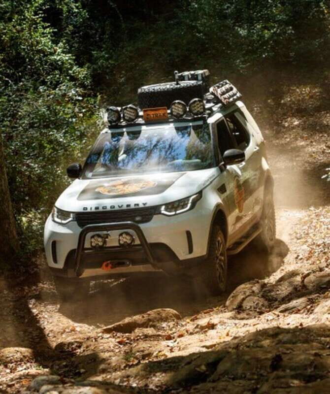 Whistler: Morning with the Bears Land Rover Scenic Excursion - The Value for Money: Is It Worth It?