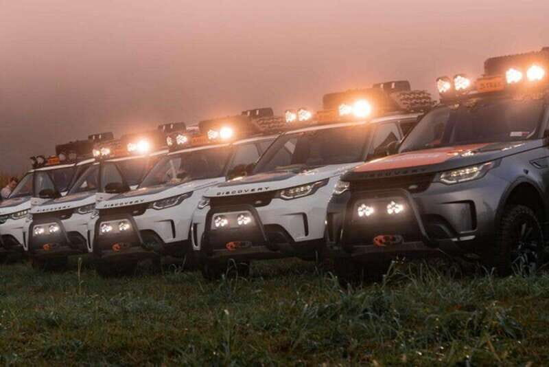 Whistler: Morning with the Bears Land Rover Scenic Excursion - The Sum Up: Is the Whistler Black Bear Tour for You?