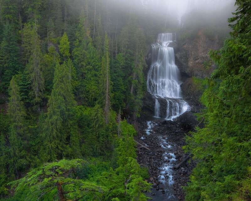 Whistler: Morning with the Bears Land Rover Scenic Excursion - FAQ