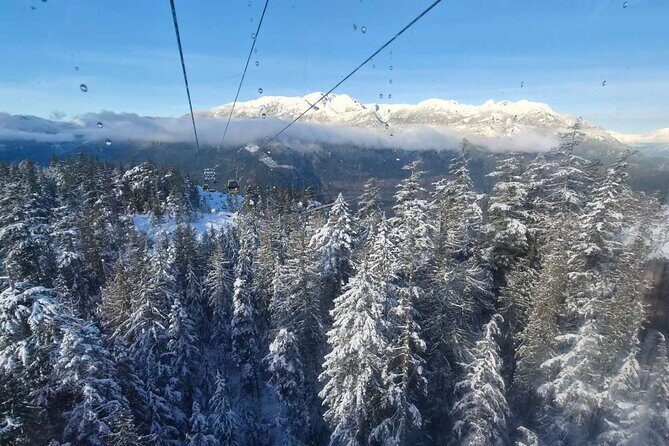 Whistler Sea 2 Sky Gondola, Shannon Falls Small Group Max 12 Tour - Frequently Asked Questions