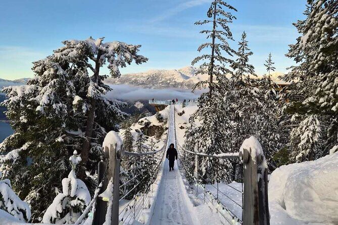 Whistler Sea 2 Sky Gondola, Shannon Falls Small Group Max 12 Tour - Final Thoughts