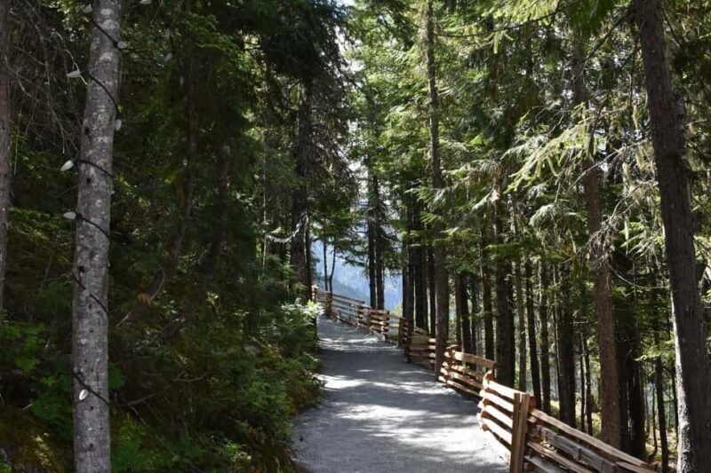 Whistler, Sea to Sky Gondola, and Shannon Falls Day Trip - Shannon Falls — A Natural Powerhouse