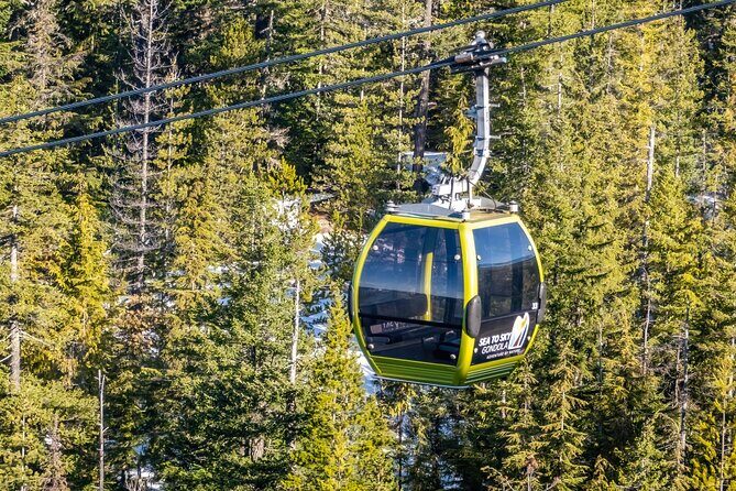Whistler: Sea to Sky Gondola Shannon and Brandywine Falls Tour - The Magnificent Brandywine Falls