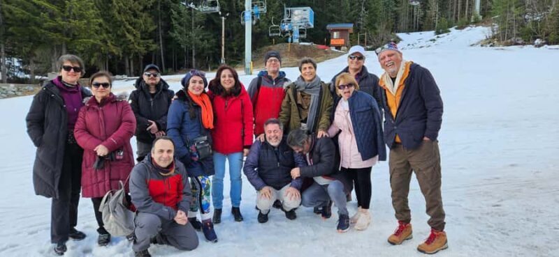 Whistler: Sea to Sky Gondola, Shannon & Brandywine Falls - Final Thoughts — Is This Tour for You?