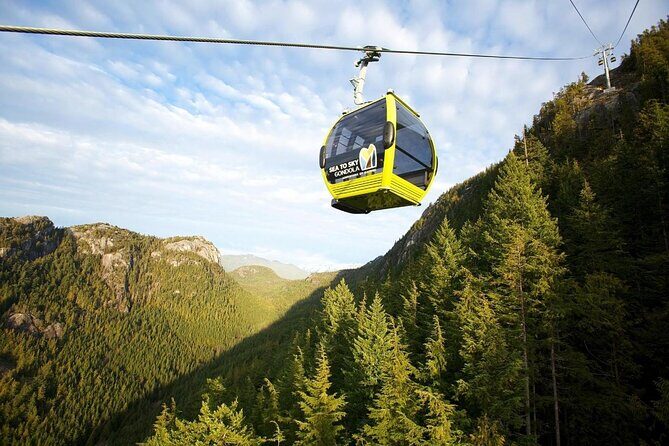 Whistler & Sea to Sky Gondola Tour with Shannon Falls Stop - Key Points